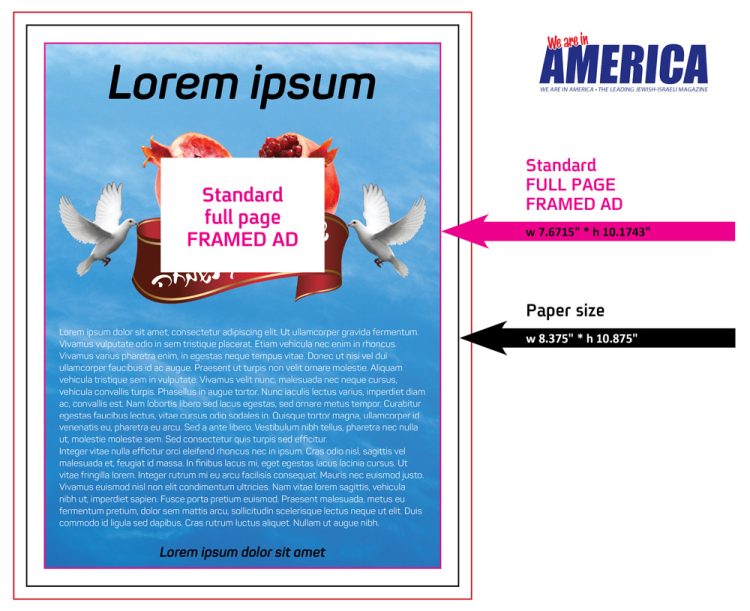 Ad's Specifications - We Are in America